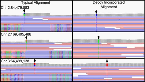 Effect Of The Bacterial Decoy On Variant Identification By