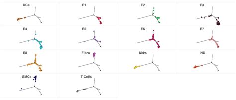 Figure S3 Related Figure 3 Scrnaseq Based Pseudotime Trajectory Download Scientific Diagram