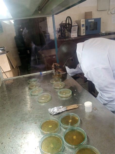 Kimutai K Kevin On Linkedin Performing Antimicrobial Potency Of Honey