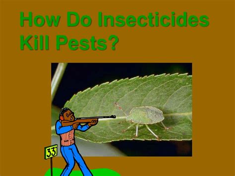 Ppt Insecticides Powerpoint Presentation Free Download Id 6521555