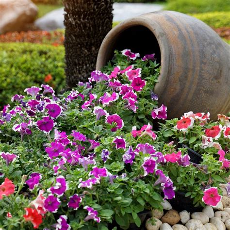 Flower Pot Ideas Garden 4 Ideas For Filling Your Large Garden Planters