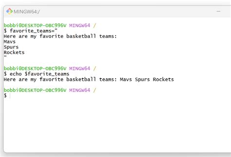 Bash Use Echo To Output A Multi Line String Collecting Wisdom
