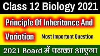Class Biology Chapter Principle Of Inheritance And Doovi