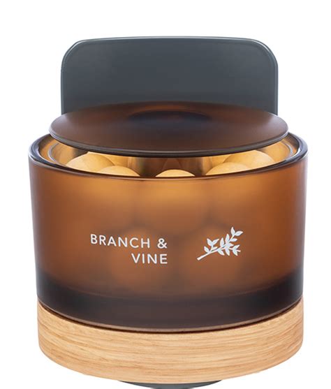 Branch And Vine Air Fresheners Cintas