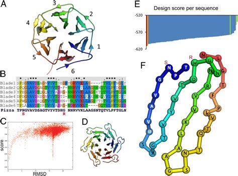 Computational Design Of A Self Assembling Symmetrical β Propeller