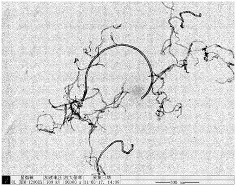 Polyaryletherketonepolyaniline Carbon Nanotube Composite Material With
