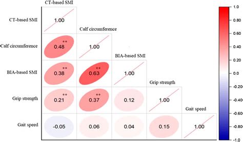 Frontiers Diagnostic Significance Of Calf Circumference In Sarcopenia
