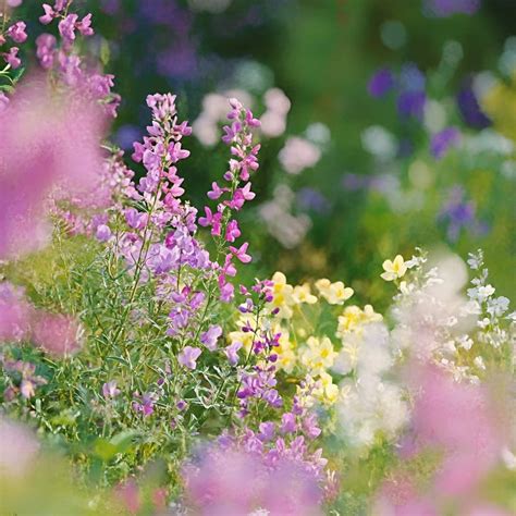 赏读 最好的关系:久处不厌,闲谈不烦信任对方生活 赏读 最好的关系:久处不厌,闲谈不烦信任对方生活