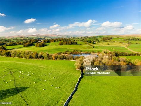 Aerial View Of Endless Lush Pastures And Farmlands Of England Beautiful