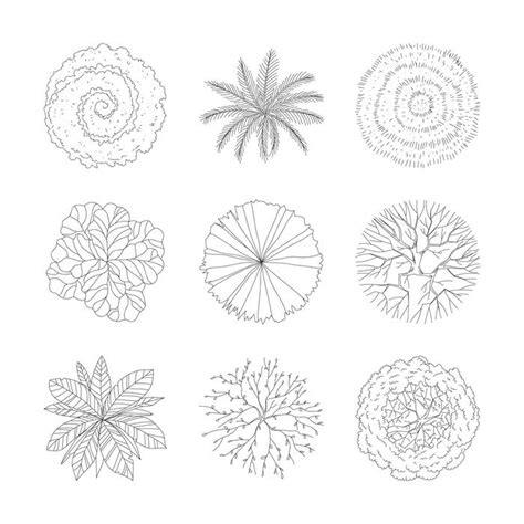 Tree Plan View Vector Art Icons And Graphics For Free Download
