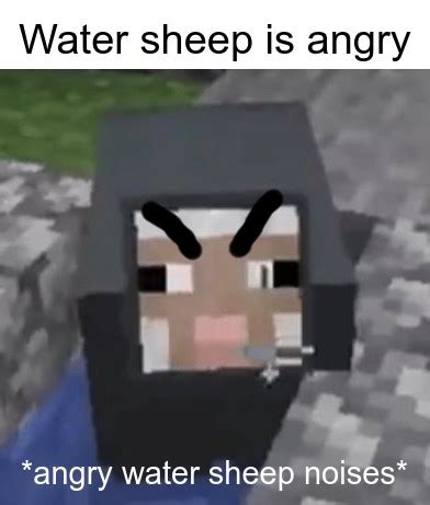 Water Sheep Rantimeme