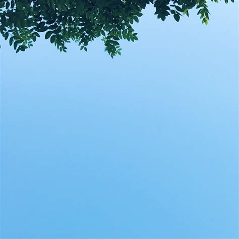 朋友圈微博背景图 木结衣 高清图片，堆糖，美图壁纸兴趣社区
