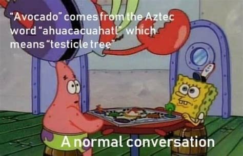 learned something new today r memes