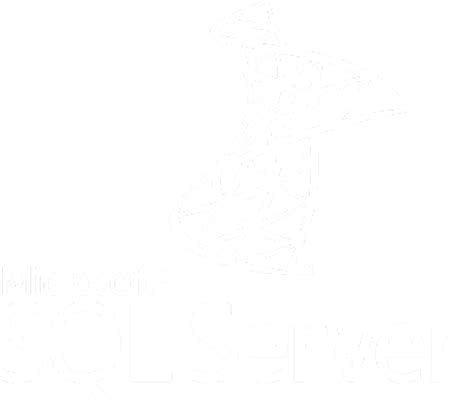 Microsoft Sql Server Data Masking Accutive Security