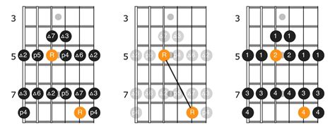 Major Scale Patterns Positions And Theory