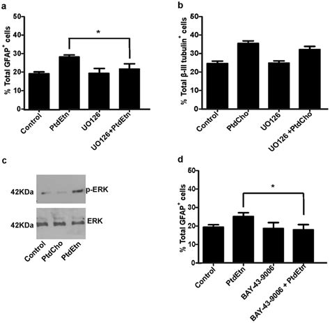 Astrocyte Differentiation But Not Neuronal Differentiation Is Affected Download Scientific