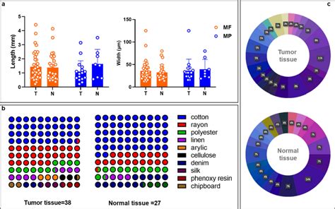 Microfiber Characteristics In Lung Tumor And Normal Tissues A Width