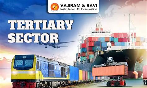 Tertiary Sector In India Components Role Global Aspects