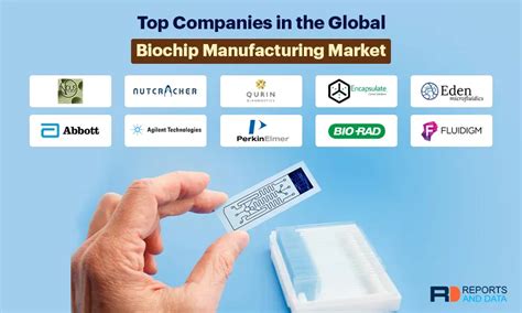 Top Biochip Companies In The Global Market
