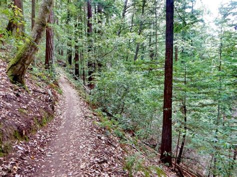 Tafoni And El Corte De Madera Creek Trails Loop — El Corte De Madera
