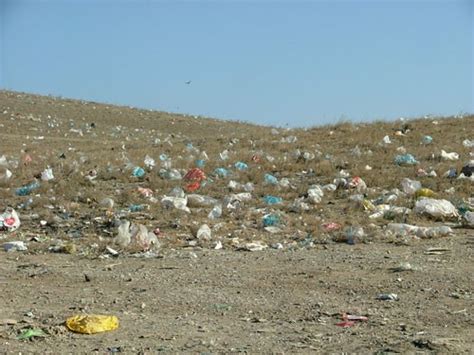 Гялгар уут торны хорт бодис зөвшөөрөгдөх хэмжээнээс 1 5 дахин их байна