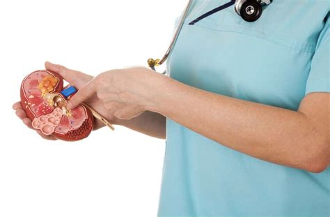 Bilirubin 10 Causes Of High Bilirubin Levels