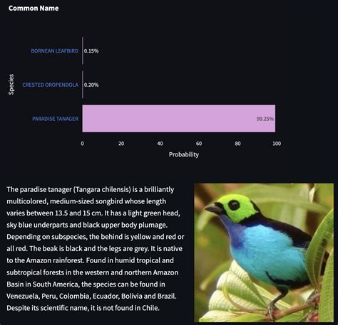 identifying bird species with machine learning r python