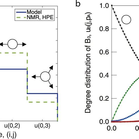 Examples Of Linear And Branched Polymers The Structural Formulas Of Download Scientific