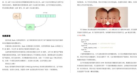绝了！阿里大佬的redis深度核心笔记，从基础到源码，全是精华javajava你猿哥infoq写作社区