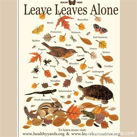 Understanding Usda Beef Grades