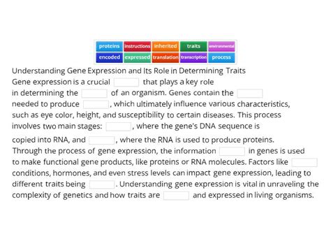 Understanding Gene Expression Complete The Sentence