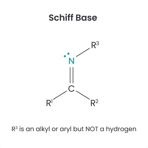 Premium Vector Schiff Base Biochemistry Functional Group Science