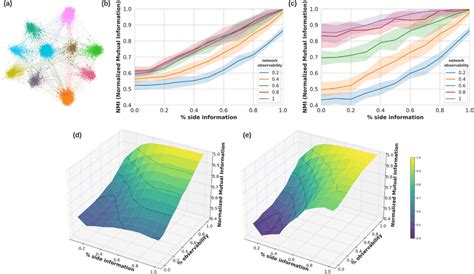 Partial Network Observation And Side Information Analyses On Synthetic