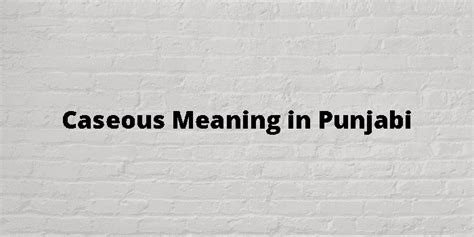 Caseous Meaning In Punjabi ਪੰਜਾਬੀ ਦਾ ਮਤਲਬ
