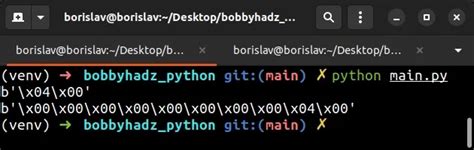 How To Convert Int To Bytes And Bytes To Int In Python Bobbyhadz