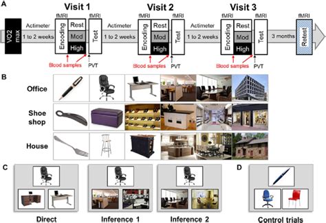 experimental design and associative memory task a overview of the