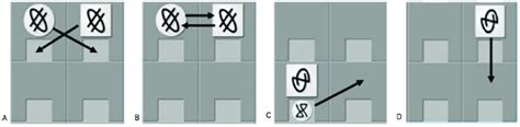 Symmetric Moves Corresponding To The Verbs Nima A And Prazi B And