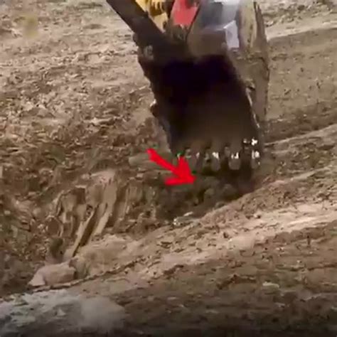 Angel César Lara Celis Posted On Linkedin