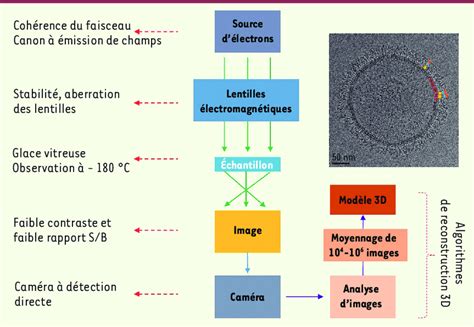 Représentation Schématique Dun Microscope électronique Des Avancées Download Scientific