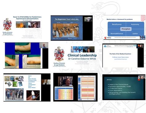 Summary Of Fflm Examinations