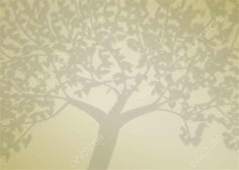 Big Tree Shadow Overlay Effect Background Aesthetic Shadow Shadow