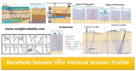 borehole seismic หรือ vertical seismic profile vsp