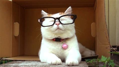 Activerecord Part 1 — Ellen Cornelius