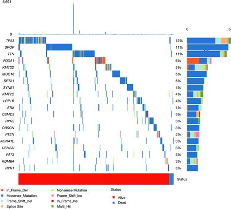 Gene Mutation Map Of Prostate Cancer Download Scientific Diagram