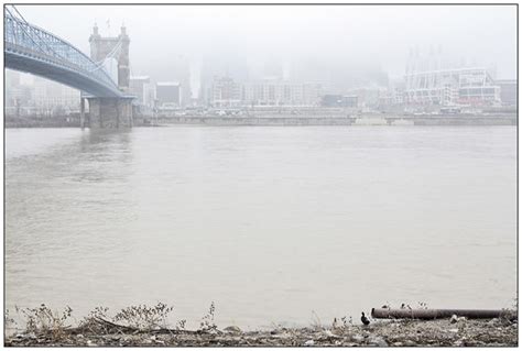 [views Of Cincinnati] Midwestern Fog — Ronny Salerno