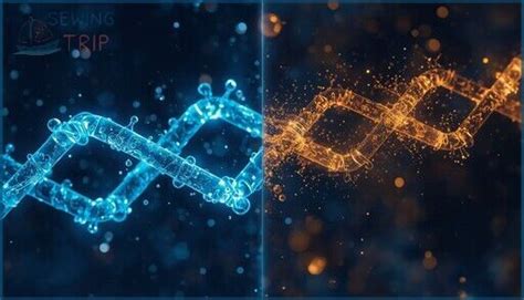 Polyamide Vs Polyester Differences Which Fabric Suits You