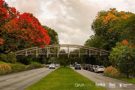 Bifrost Time Efficient Structural Analysis Of Innovative Wooden