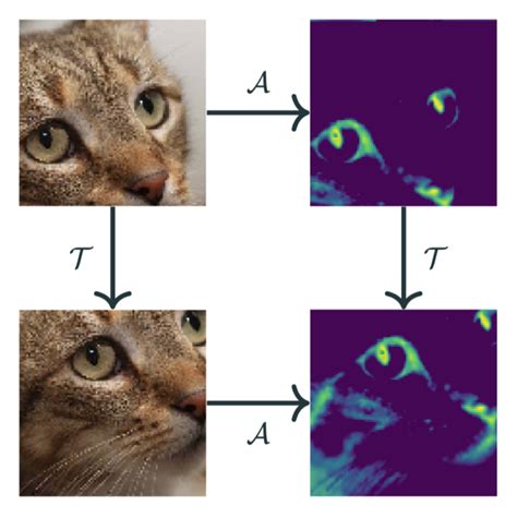 A Brief Introduction To Geometric Deep Learning Towards Data Science