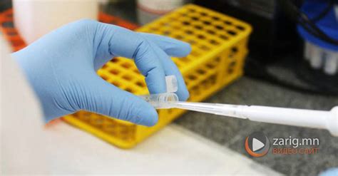 УОК Сэлэнгэ Алтанбулагийн бүх иргэдийг шинжилгээнд хамруулна