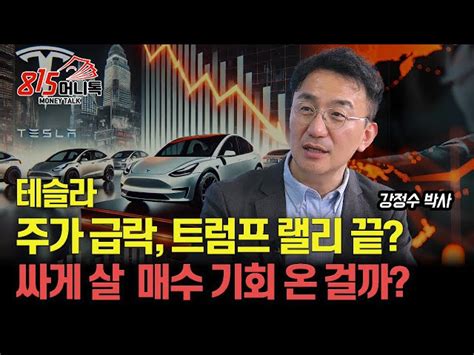 테슬라 주가 급락 이유 1월에 싸게 살 절호의 매수 기회가 온다 중국산 전기차의 무서운 성장 블루닷ai 연구센터 소장